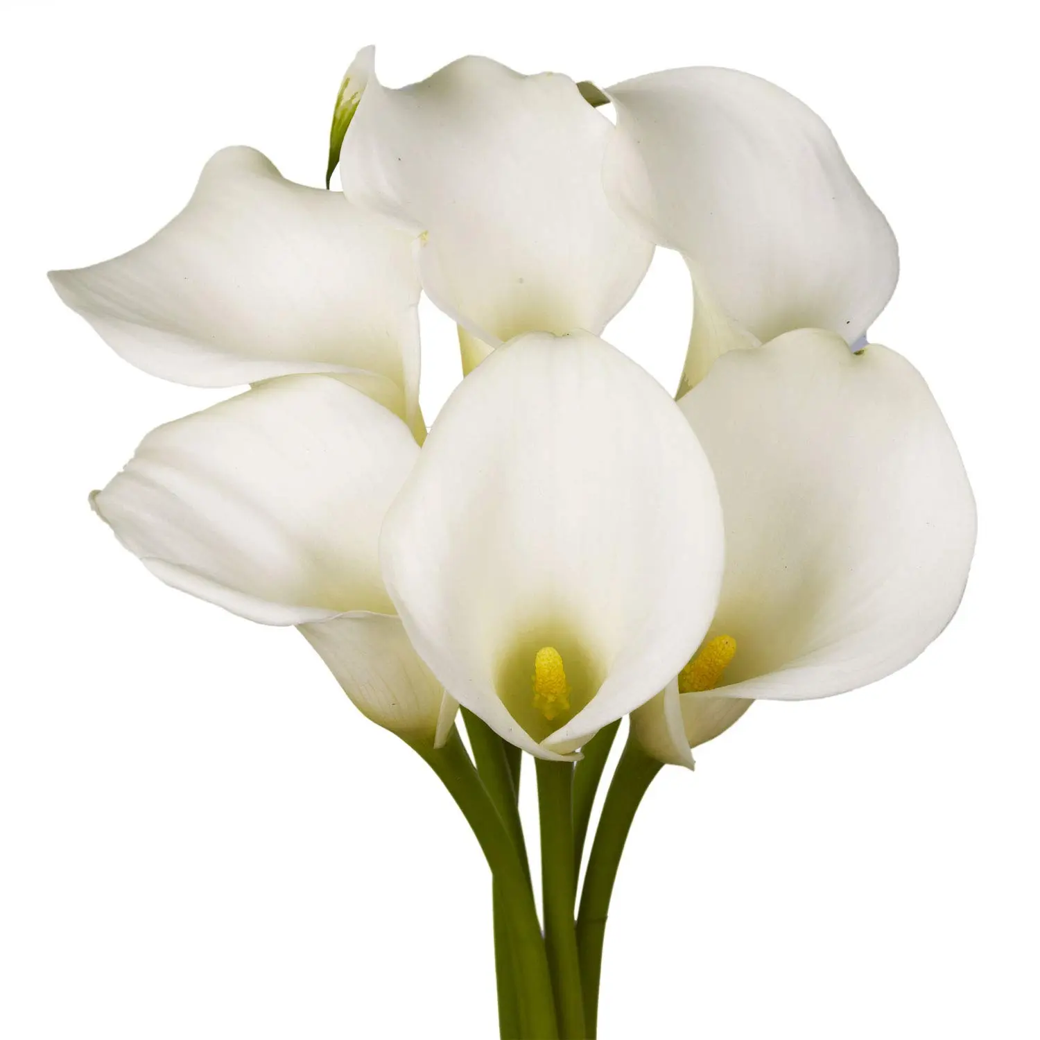 Lirios Blancos: Belleza Y Significado | TeleFlor