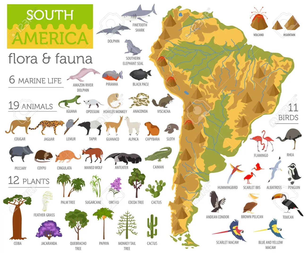 La Flora En América Latina: Biodiversidad Y Desarrollo Sostenible ...