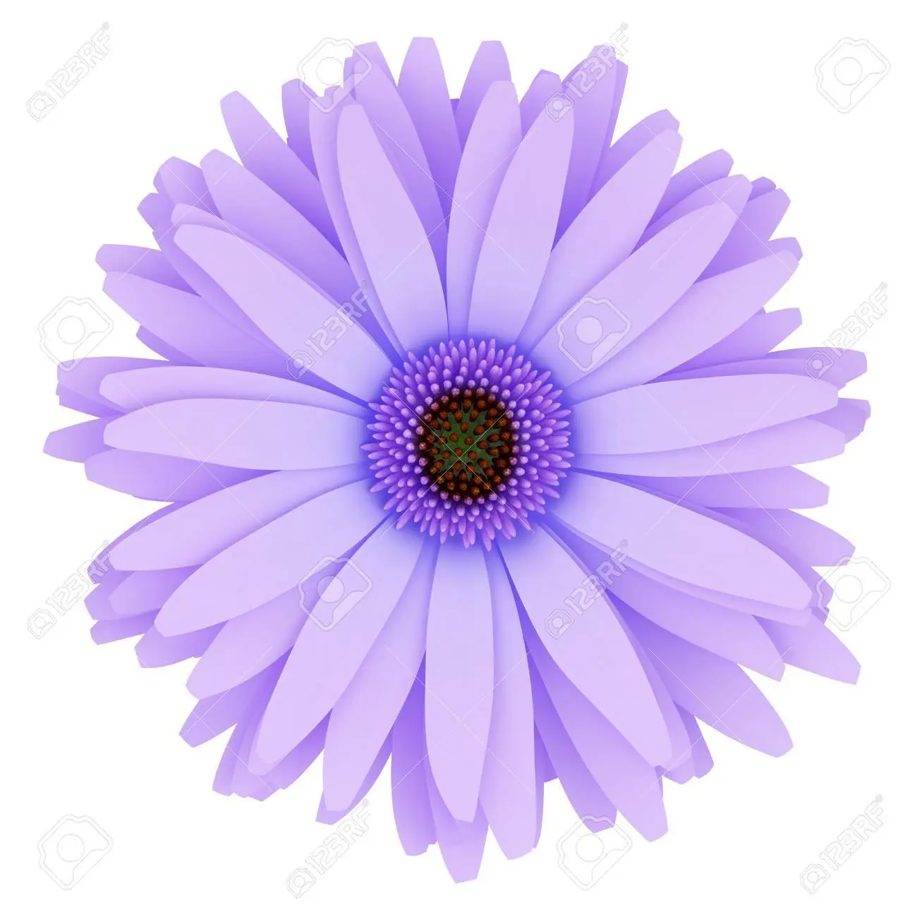 Flor Desde Arriba: Una Nueva Perspectiva De La Belleza Floral | TeleFlor