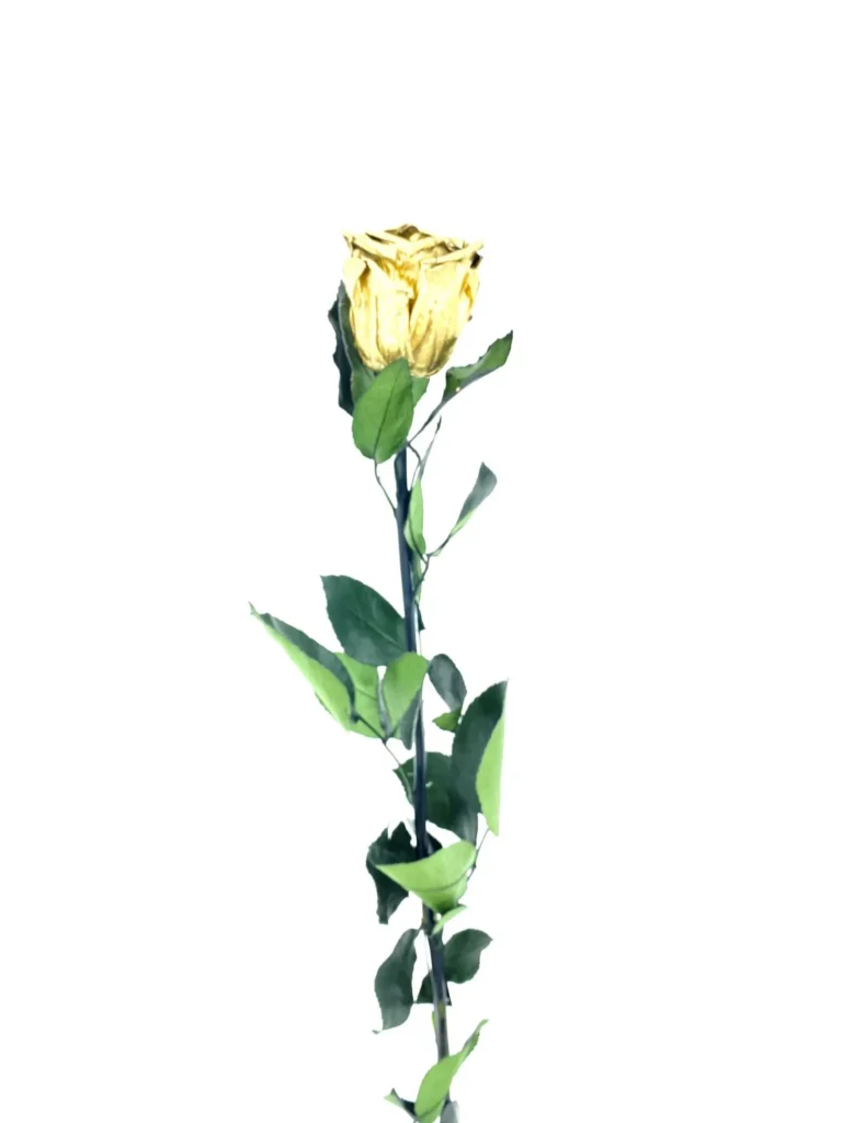 Flores Doradas: Significado Y Belleza | TeleFlor