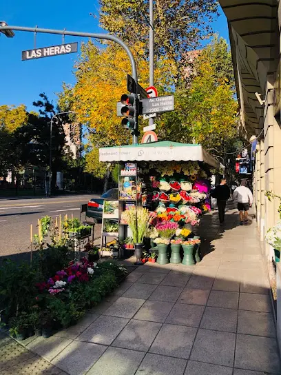 Florista Ferdinand Flower - [Buenos Aires] | TeleFlor